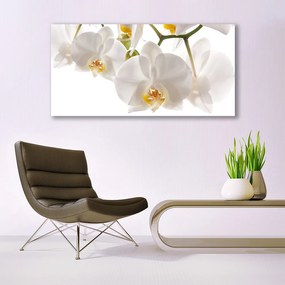 Plexisklo-obraz Orchidej Květiny Příroda 120x60 cm