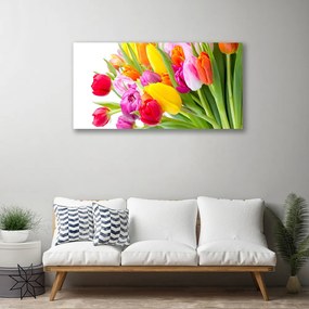 Obraz na plátně Tulipány Květiny Rostlina 120x60 cm