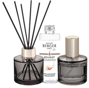 Maison Berger Paris BERGER Rosalie mini duo difuzér 0,09l a bytový sprej 0,05l šedý 7859