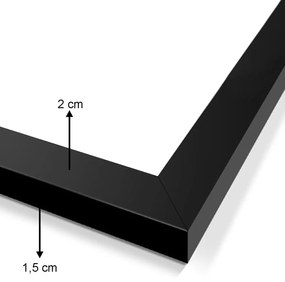 ASIR Sada nástěnných dekorativních obrazů KAPRADINY 34 cm