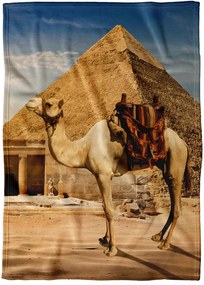 Deka Velbloud u pyramidy (Rozměr : 150 x 120 cm, Podšití beránkem: NE)