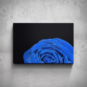 Obraz - Modrá růže detail - PopyDesign