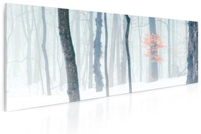 Obraz zimní les v mlze