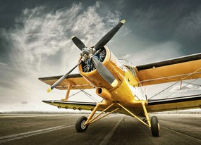 Malvis ® Tapeta Žluté letadlo Vel. (šířka x výška): 216 x 140 cm