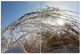Obraz na plátně - Zimní ráno 145D (120x80 cm)