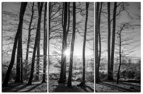 Obraz na plátně - Podzimní ráno v lese 1251QB (135x90 cm)