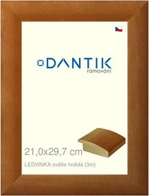 DANTIK rámeček 21x29,7 | LEDVINKA světle hnědá (Sklo Čiré)