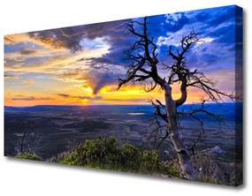 Obraz na plátně Strom Zápas Slunce 125x50 cm