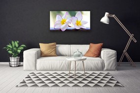 Obraz na plátně Květiny Plátky Plumérie 125x50 cm