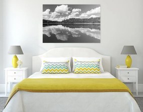 Obraz příroda v letním období v černobílém provedení - 120x80 cm