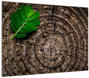 Skleněný obraz listu na kmeni stromu (70x50 cm)