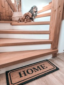 Hanse Home, Rohožka Home kokos 105678 - na ven i na doma, 27x70, hnědá, chodba / předsíň