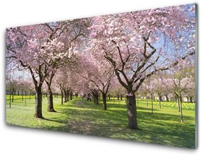 akrylový obraz Stezka Stromy Příroda 140x70 cm