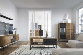 Moderní bytový nábytek Tajga sestava B