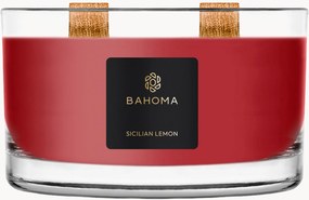 Ručně vyrobená vonná svíčka se dvěma knoty Spirit of Christmas (cassis, hřebíček a ambra)
