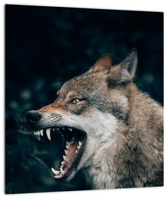 Obraz vlka (30x30 cm)