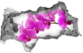 Wallmuralia Samolepící díra nálepka Růžová orchidej 95x73 cm