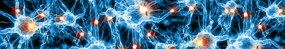 DIMEX | Fototapeta do kuchyně Nervové synapse KI-350-238 | 350 x 60 cm | modrá, černá, oranžová