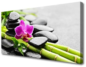 Obraz na plátně Bambus Květ Kameny Umění 120x60 cm
