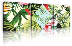 Postershop Obraz na plátně: Malovaná tropická flóra (1) - set 3ks 25x25cm