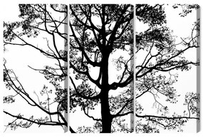 Vícedílný obraz Černý Strom Na Bílém Pozadí Nedostatek Nedostatek Přírodní plátno 60x40