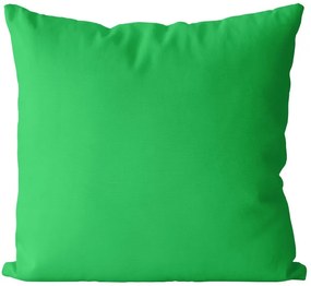 Polštář Zelený světlý (Velikost: 55 x 55 cm)