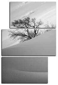Obraz na plátně - Červené písečné duny - obdélník 7133QD (120x80 cm)