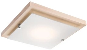 LED Stropní svítidlo 1xLED/12W/230V buk