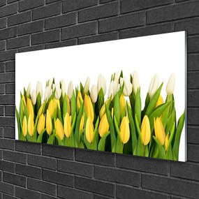 Obraz na skle Tulipány Květiny Rostlina 120x60 cm