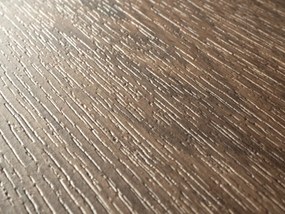 Beaulieu International Group, PVC podlaha - lino Livitex 2624, na míru, šíře 3m,4m,5m, hnědá, filc, chodba / předsíň