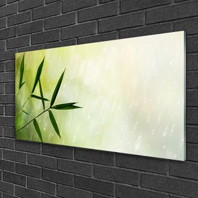 Obraz na skle Listy Déšť 100x50 cm