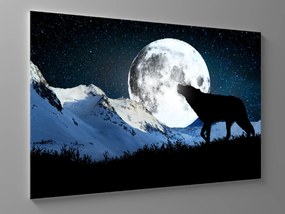 Liox Obraz vlk vyjící na měsíc Rozměr: 100 x 65 cm