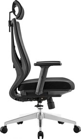 ERGODO Ergonomická kancelářská židle TALVEN - černá síťovina / nosnost 150 kg