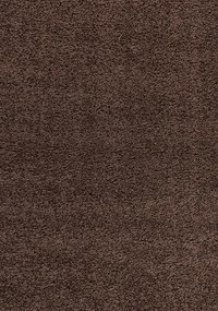 Ayyildiz koberce Kusový koberec Dream Shaggy 4000 brown - 60x110 cm