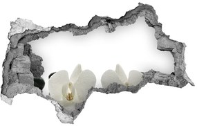 Wallmuralia Samolepící díra na stěnu nálepka Orchidej 95x73 cm