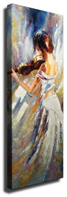 Obraz na plátně Violin beauty PC206 30x80 cm
