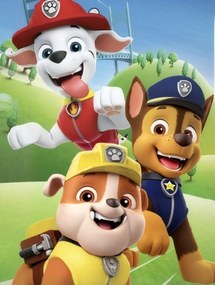 Dětská osuška PAW PATROL team 70x140cm Setino
