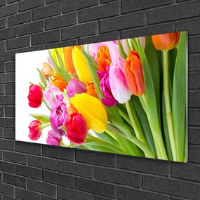 Obraz na skle Tulipány Květiny Rostlina 100x50 cm