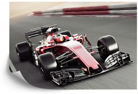 Fototapeta Vůz F1 Na Trati Omyvatelný vlies 135x90