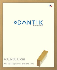 DANTIK rámeček 40x50 | KASSETTE přírodní lakovaná (Plexi Čiré)