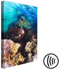 Obraz Skalnaté mořské pobřeží - fotografie modré vody a barevných kamenů