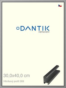 DANTIK rámeček 30x40 | ALU profil 7269 Šedá leská (Plexi Čiré)