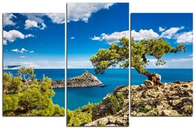 Obraz na plátně - Borovice na útesu 149C (135x90 cm)