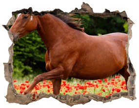 Wallmuralia Díra 3D fototapeta nálepka Kůň na poli máků 95x64 cm