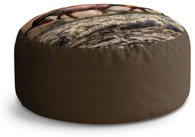 Sablio Taburet Circle Koně ve vodě: 38x48 cm