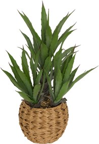 Umělá agáve MODA v pleteném květináči, v. 61 cm
