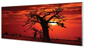 akrylový obraz Stromy oblohy zataženo 120x60 cm
