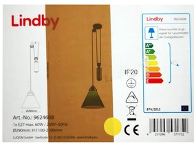 Lindby | Lindby - Lustr na lanku ALECKS 1xE27/60W/230V | LW0156