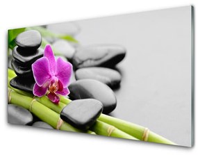 akrylový obraz Bambus Květ Kameny Umění 120x60 cm