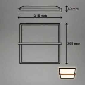 Briloner 3845015 - LED Stropní svítidlo LED/18W/230V 29,5x31,5 cm